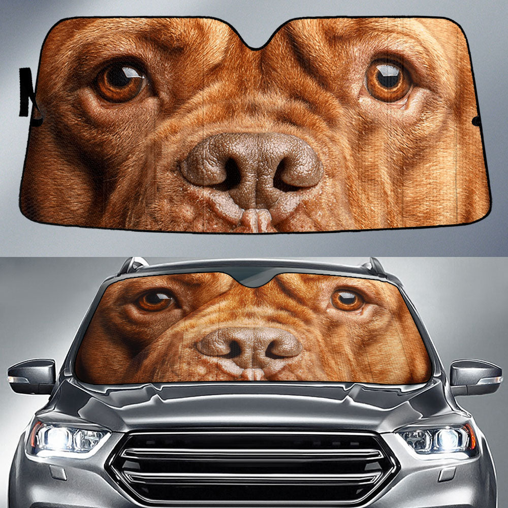 Dogue de Bordeaux Eyes Car Sun Shade 94 - Cordecar Store